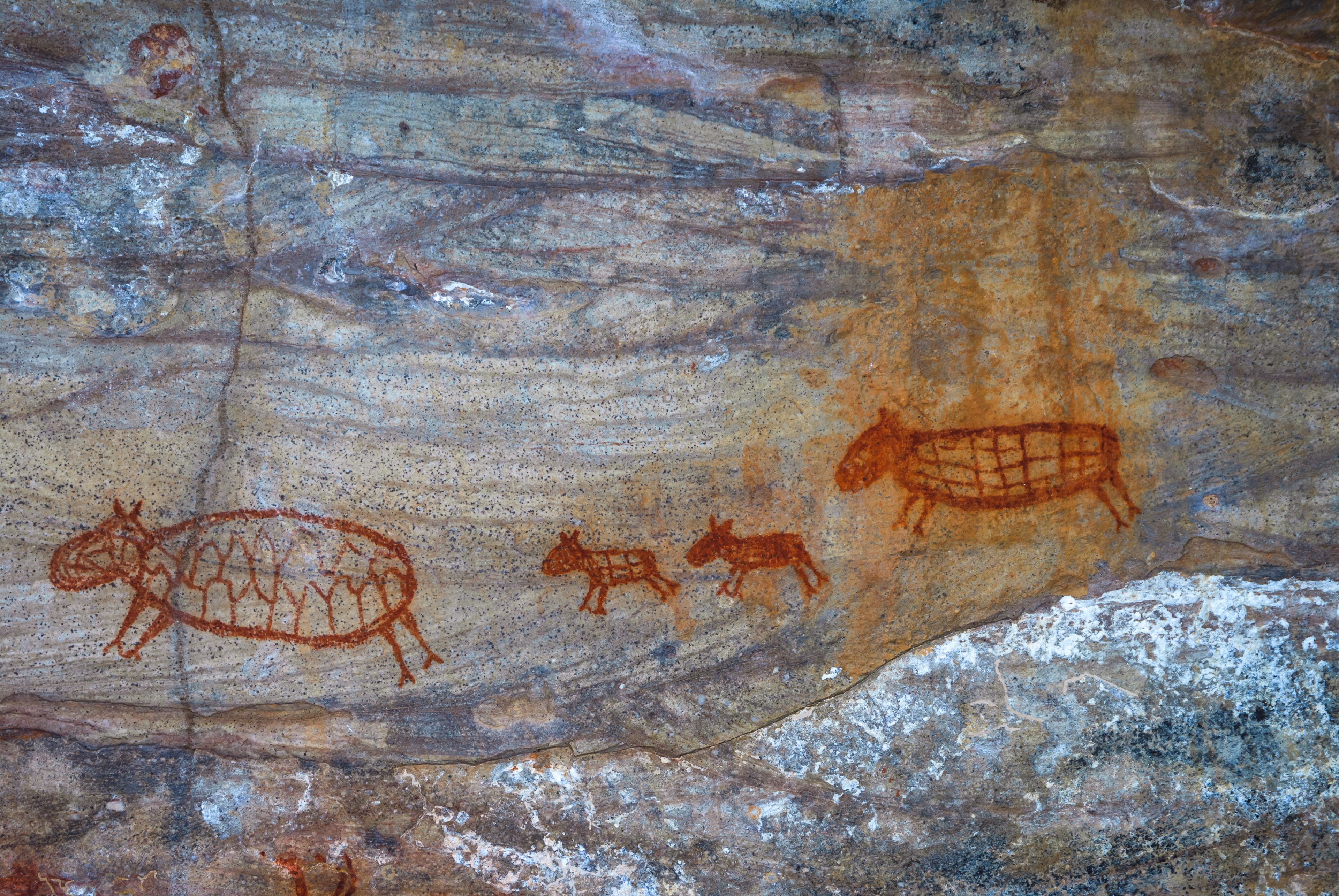 Brazilian Rock Art